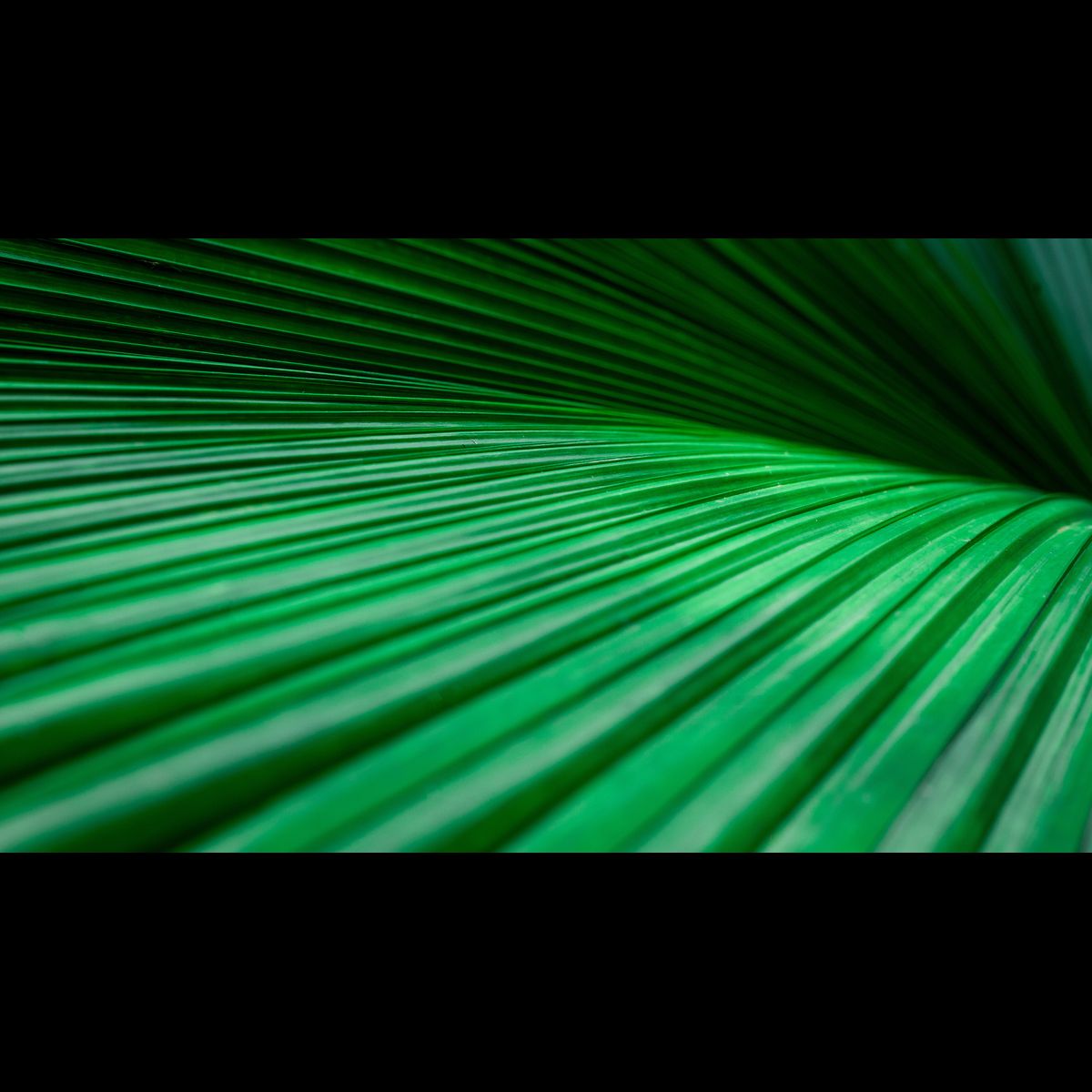 Expanding the global pool of knowledge